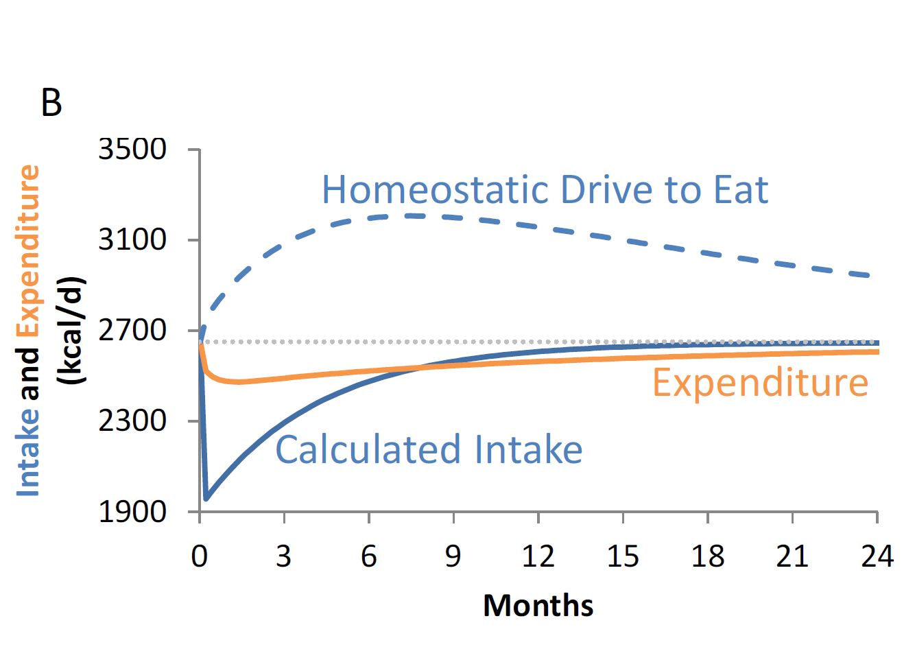 The impact of weight loss on the drive to eat