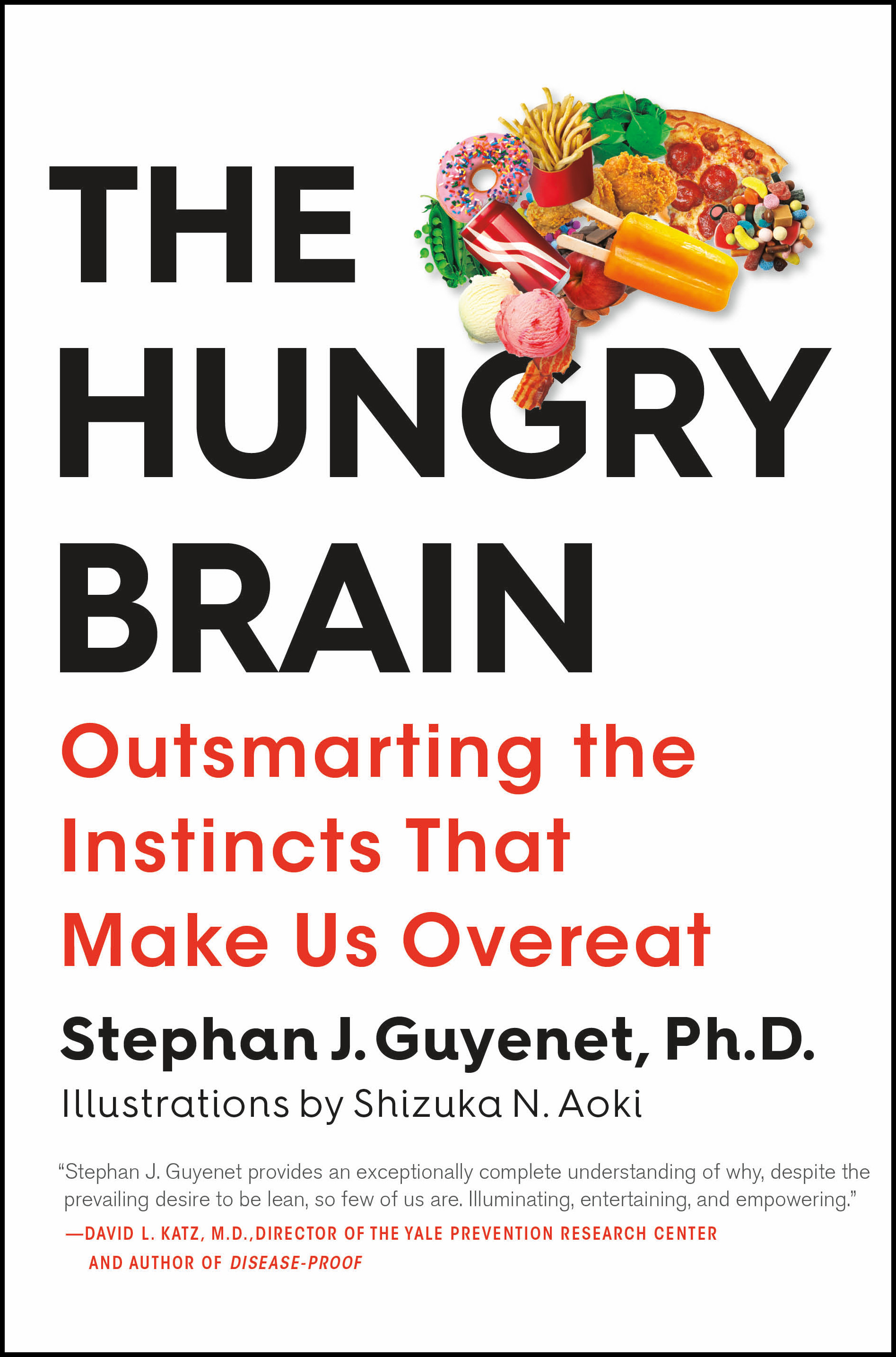 The Hungry Brain book update